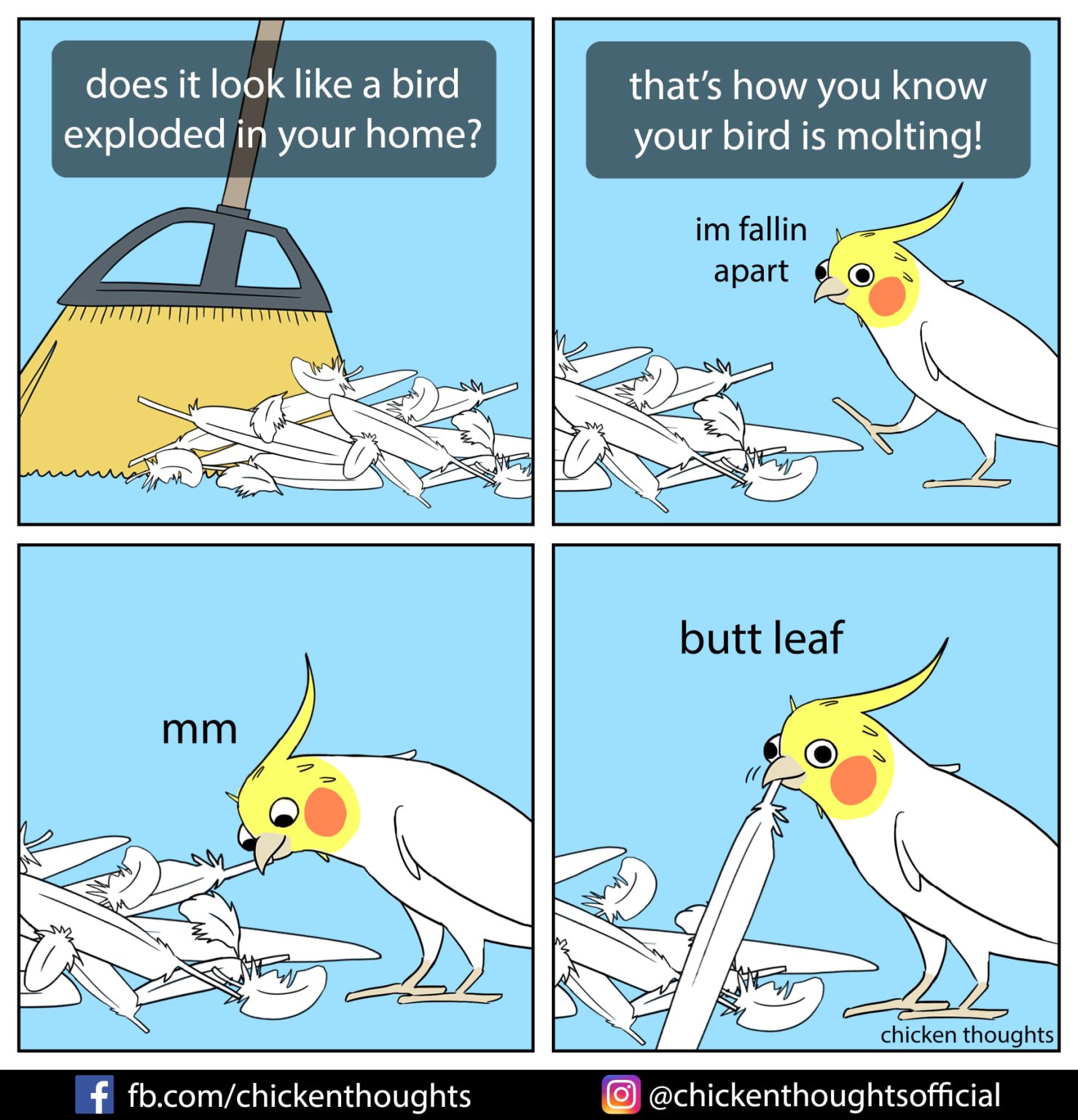 20 Funny Comics About Birds That Will Make You Fall in Love With Them ...
