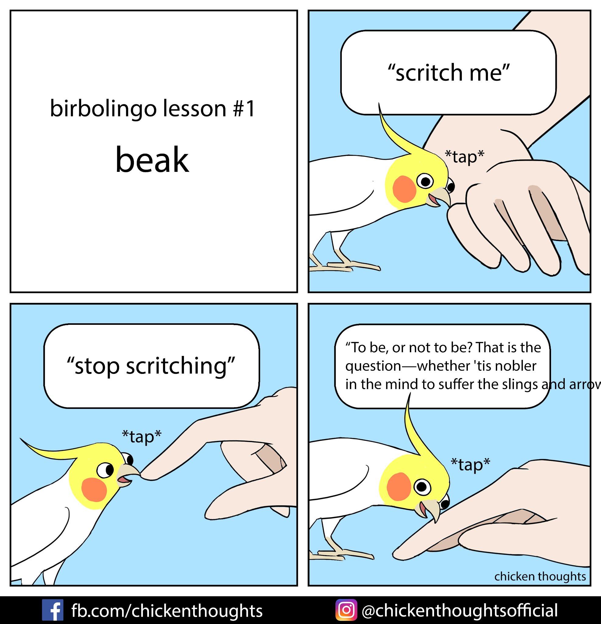 20 Funny Comics About Birds That Will Make You Fall in Love With Them ...