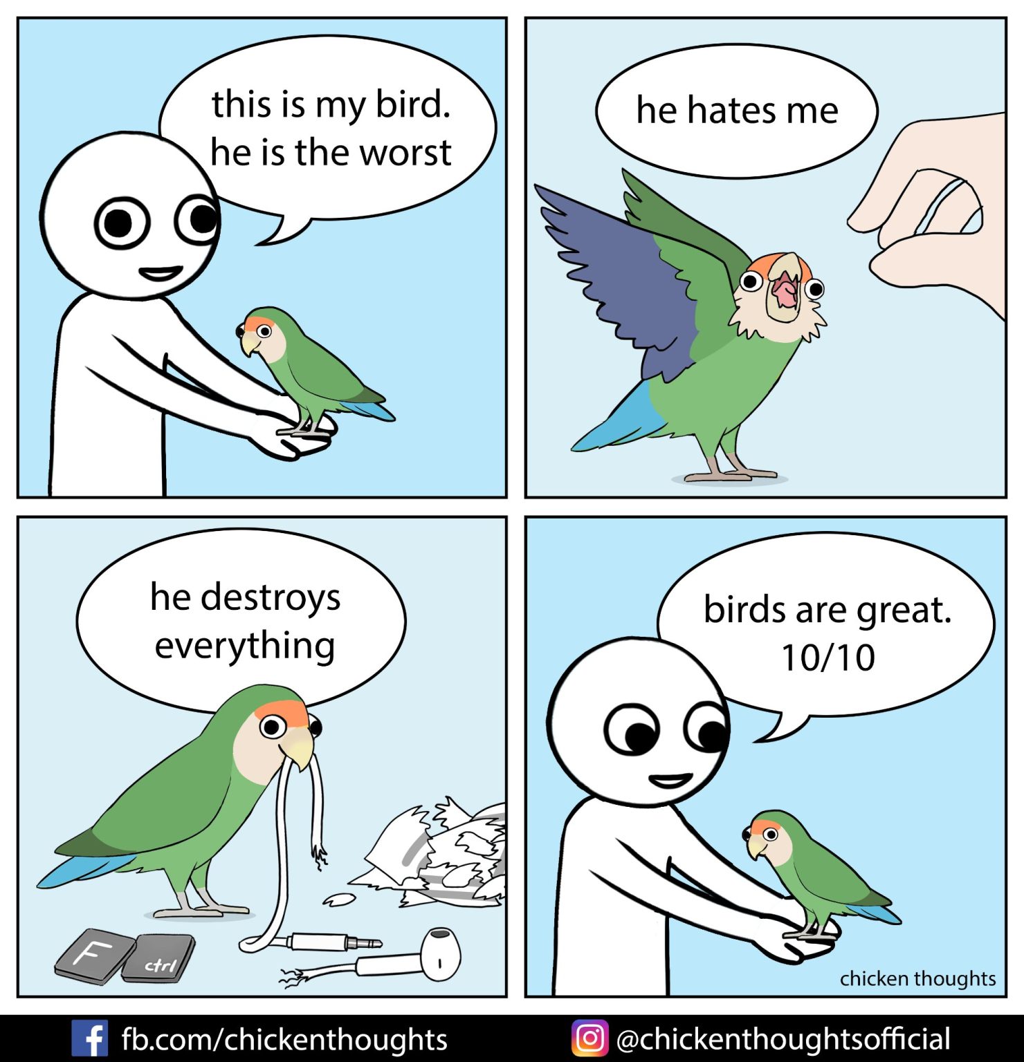 20 Witty Comics About Parrots With Latest Collection By chickenthoughts ...