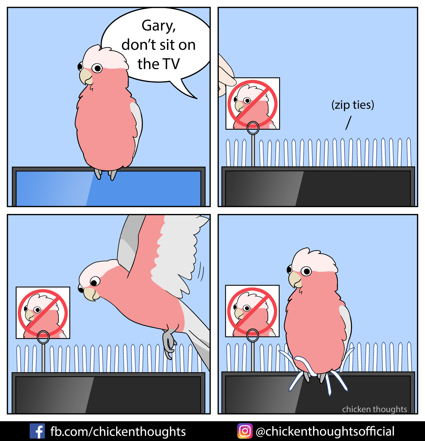20 Delightful Bird Comics To Win Your Heart By Chicken Thoughts ...