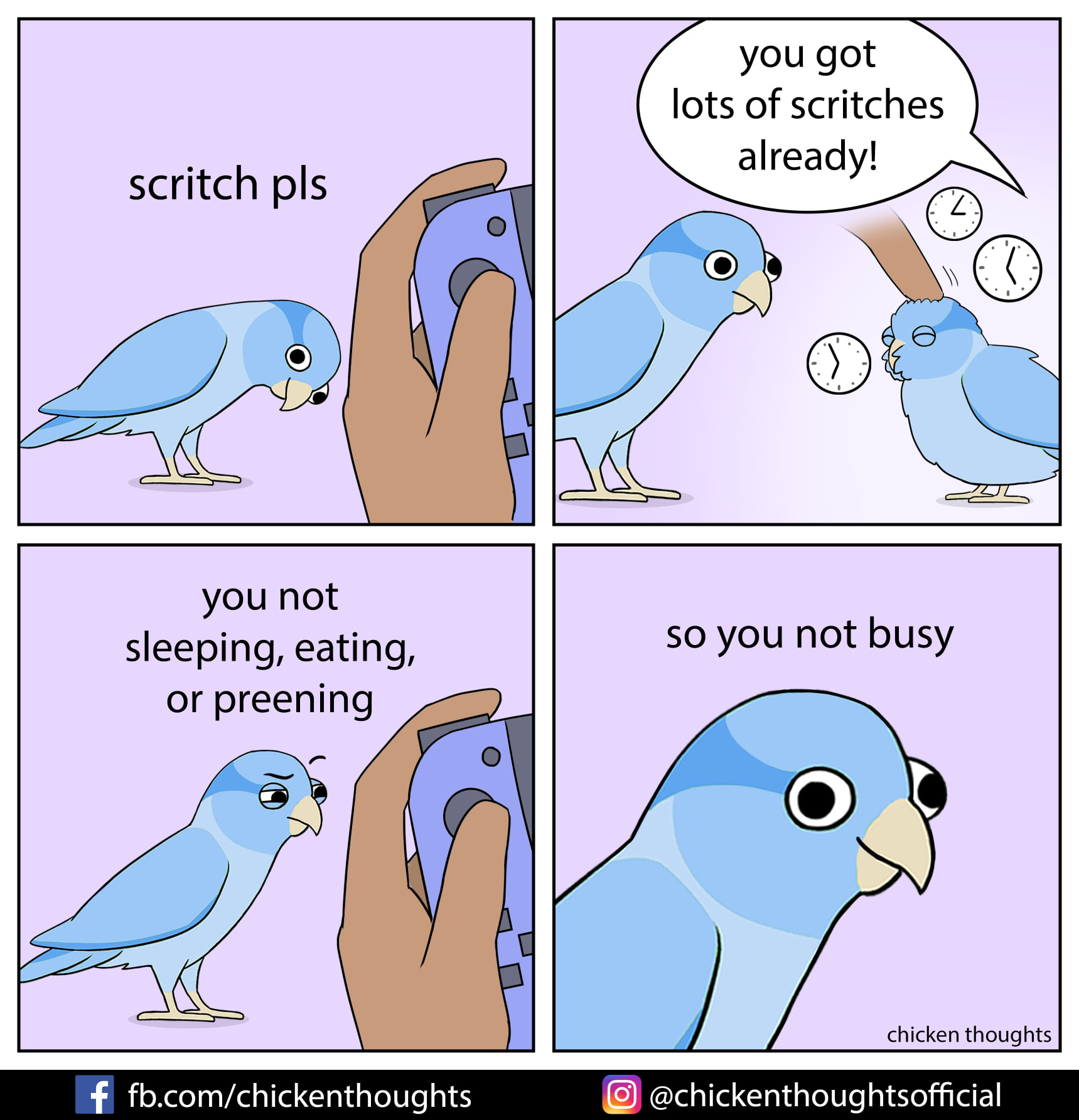 20 Delightful Bird Comics To Win Your Heart By Chicken Thoughts ...