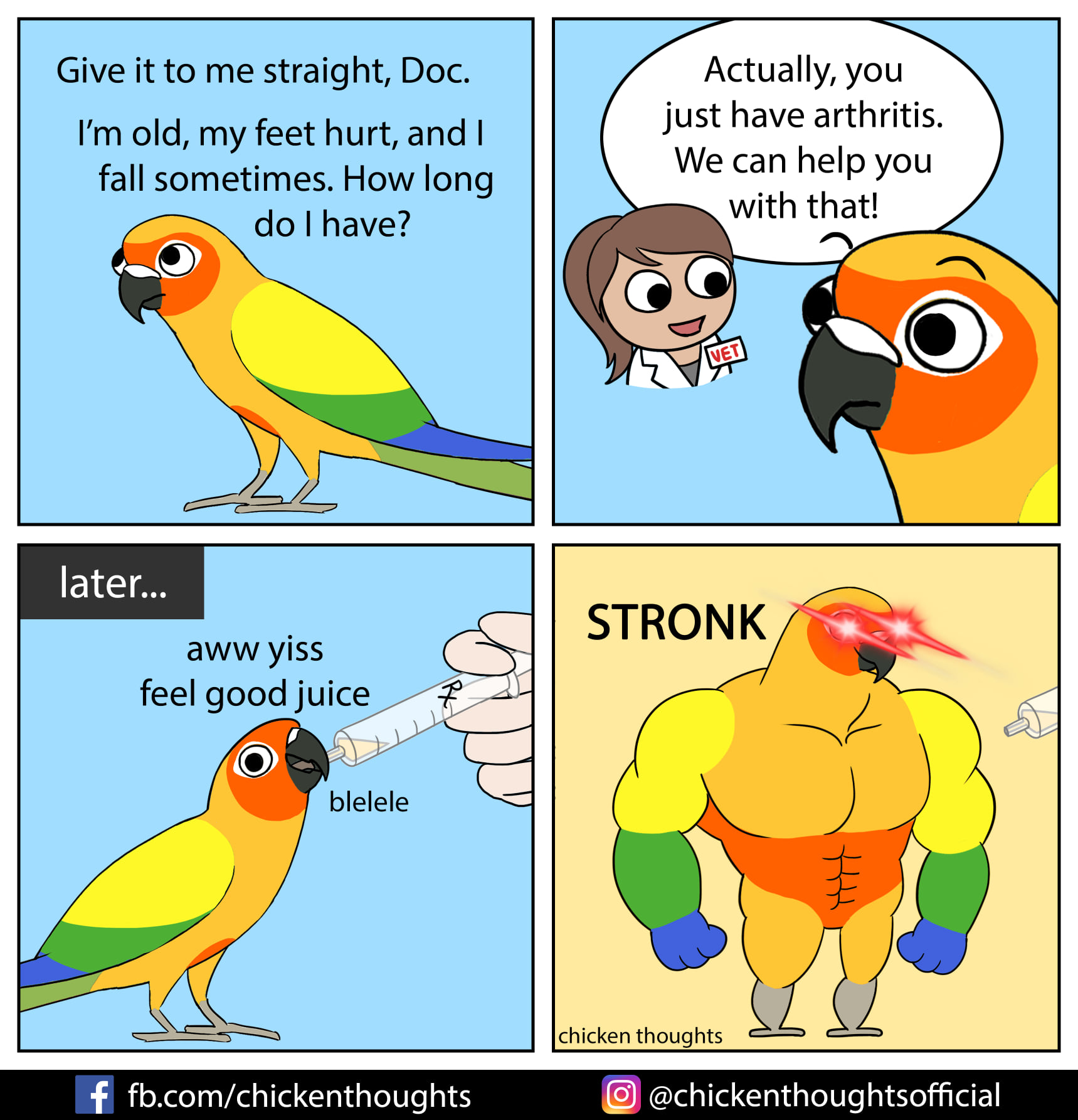 20 Delightful Bird Comics To Win Your Heart By Chicken Thoughts ...