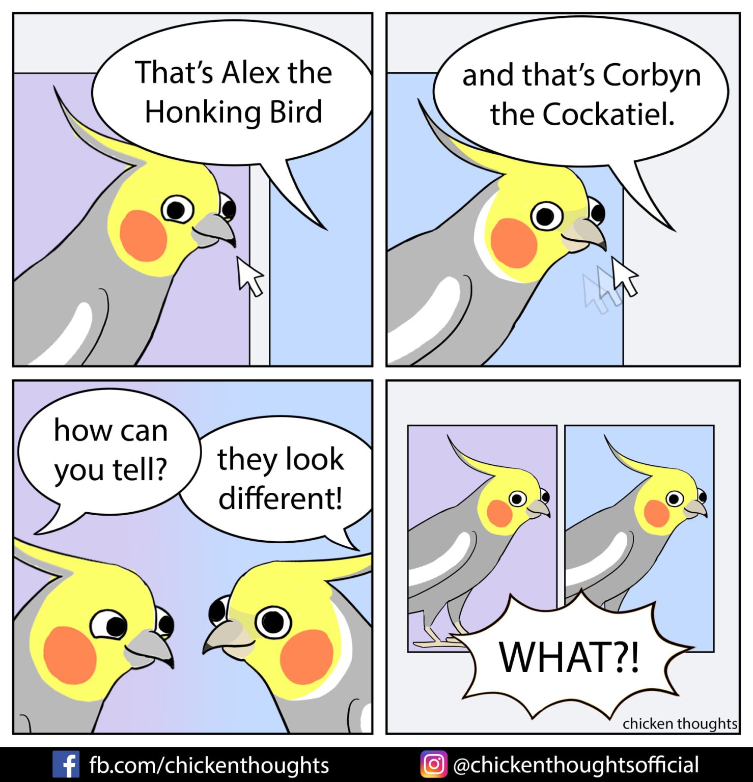 20 Delightful Bird Comics To Win Your Heart By Chicken Thoughts ...