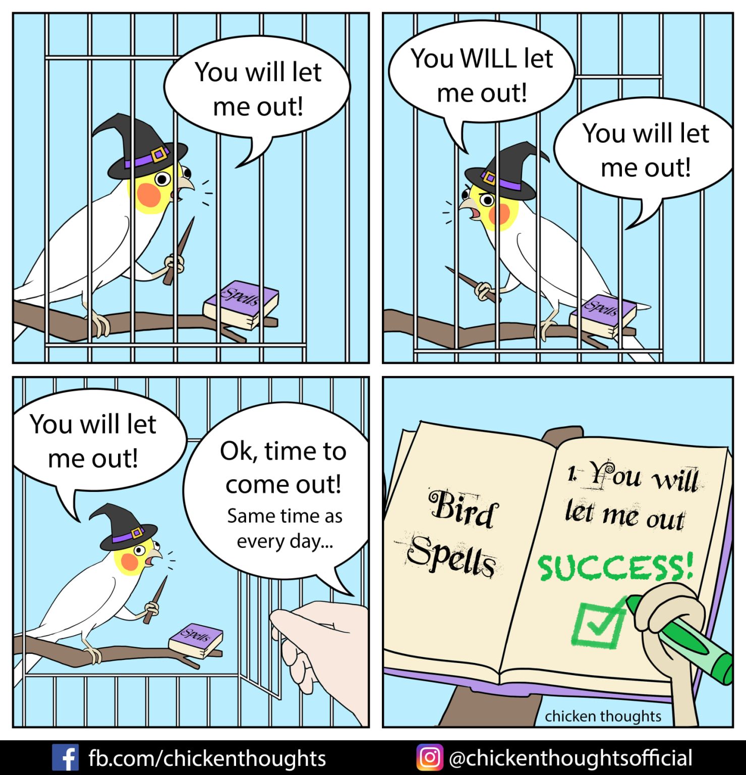 20 Delightful Bird Comics To Win Your Heart By Chicken Thoughts ...