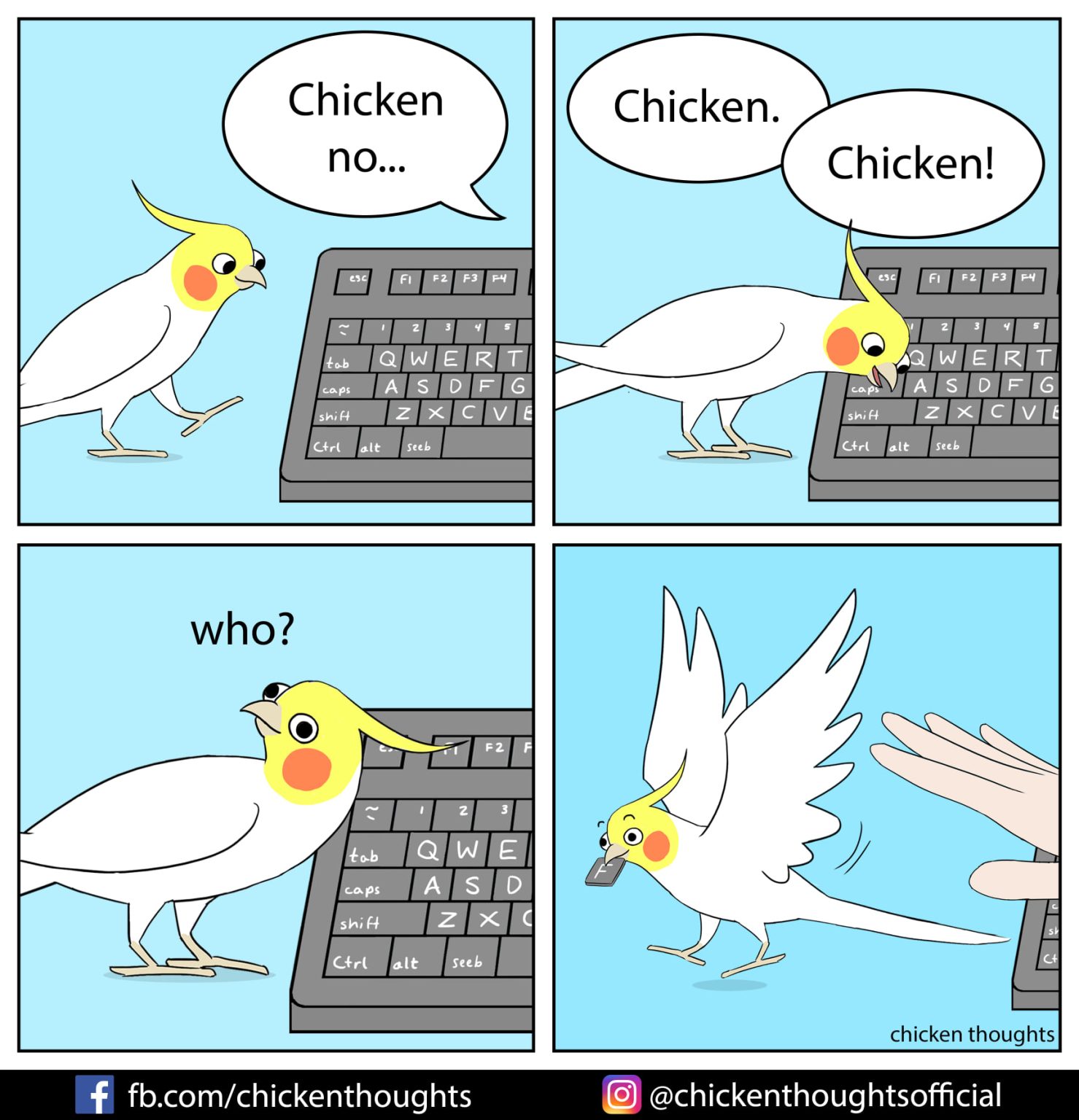 20 Delightful Bird Comics To Win Your Heart By Chicken Thoughts ...