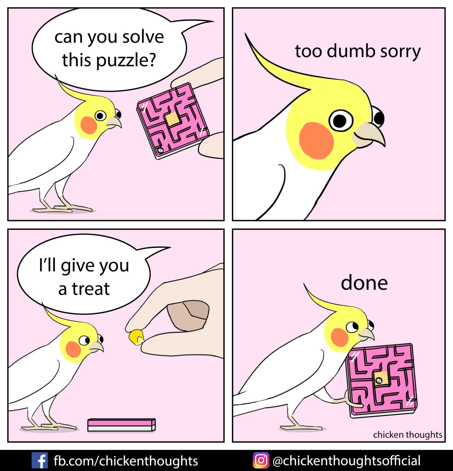 20 Hilarious Comics About Parrots With Latest Collection By ...