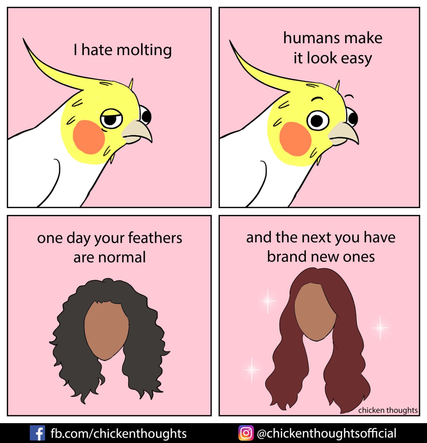 20 Hilarious Comics About Parrots With Latest Collection By ...