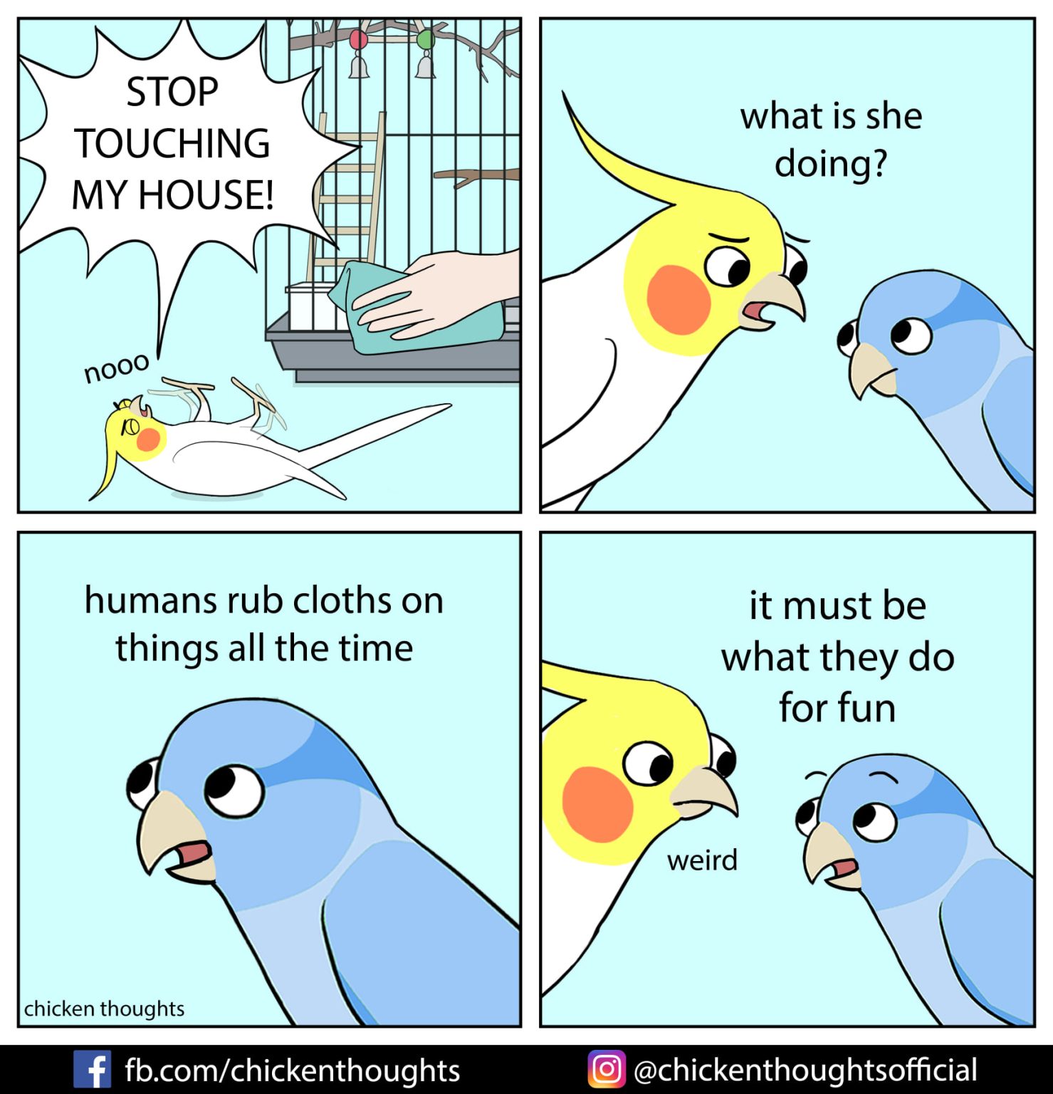20 Hilarious Comics About Parrots With Latest Collection By ...