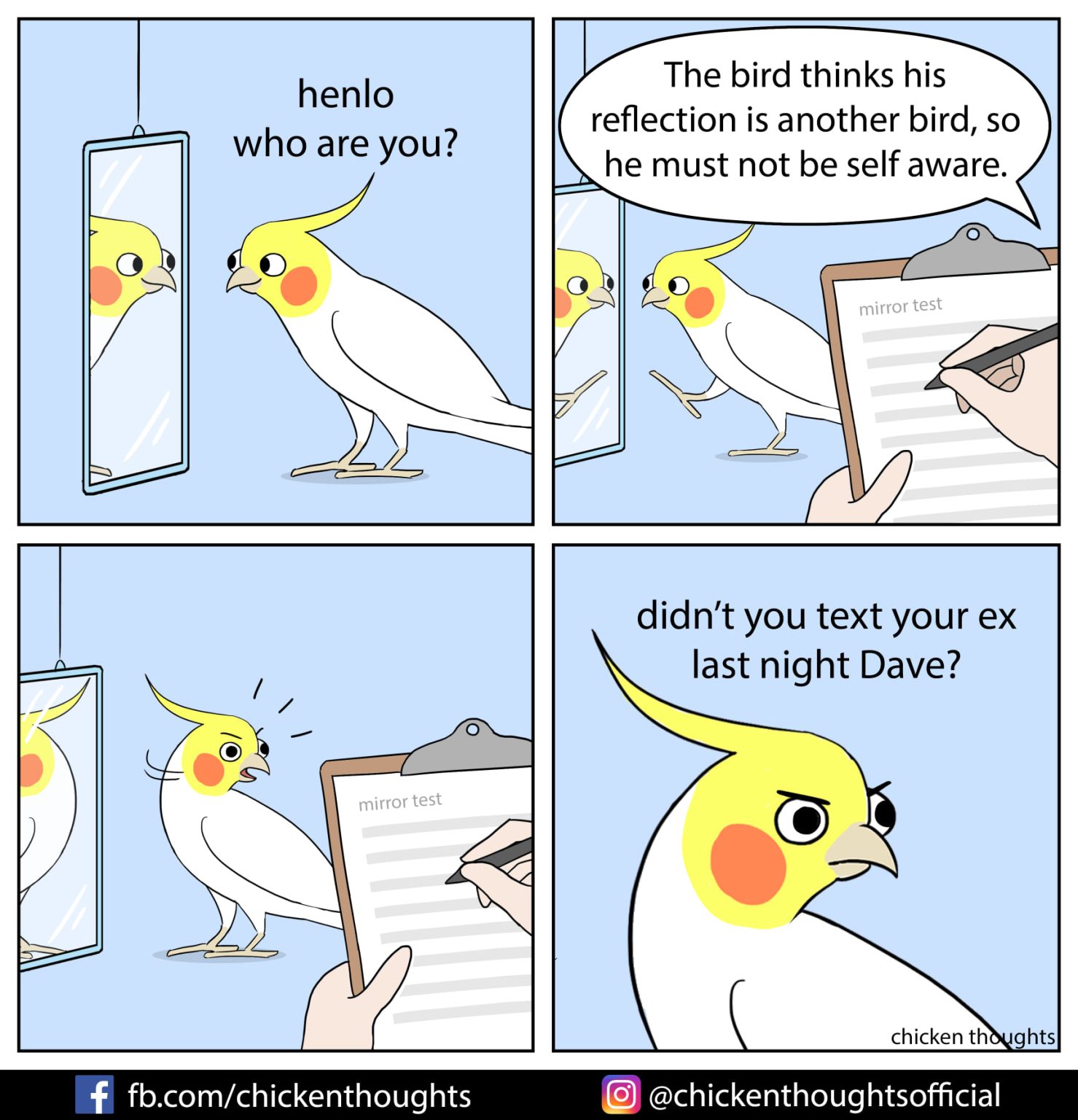 20 Hilarious Comics About Parrots With Latest Collection By ...