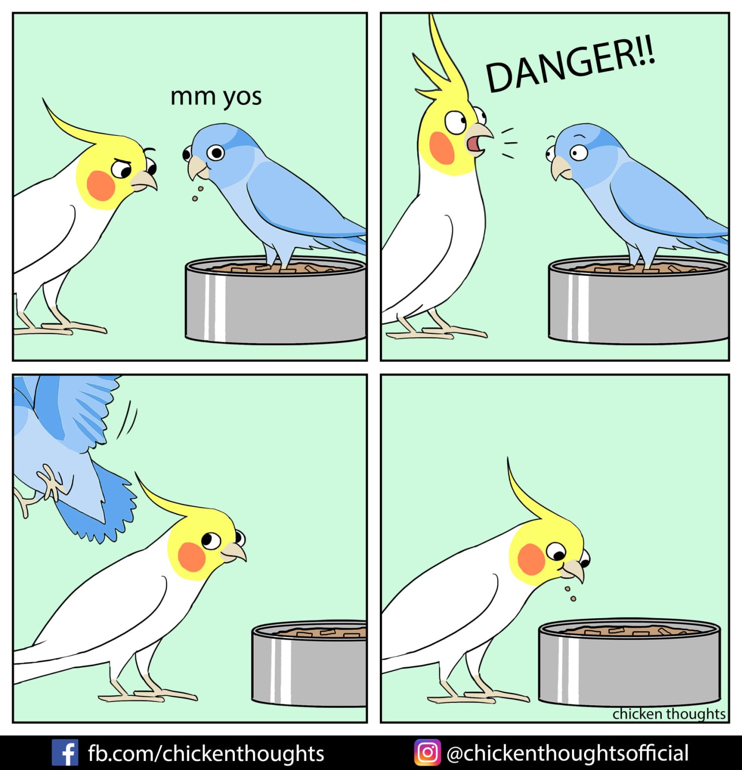 20 Hilarious Comics About Parrots With Latest Collection By ...