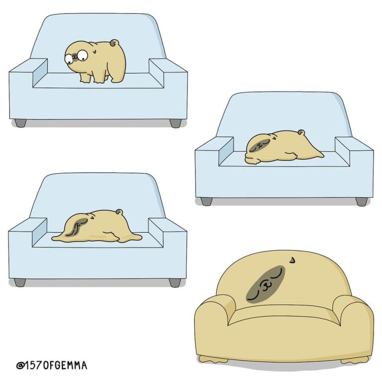 20 Comics That Hilariously Sum Up What It’s Like Living With A Pug ...