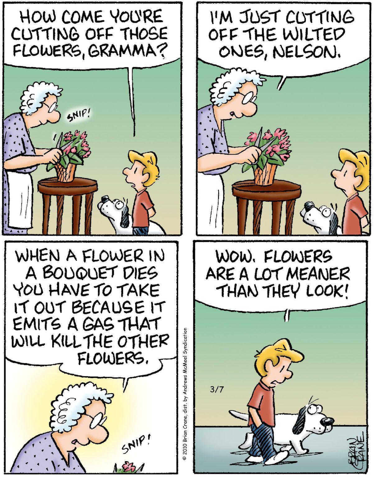 20 Pickles Comics that Describe the Grandparenthood Humor | Comics To Read