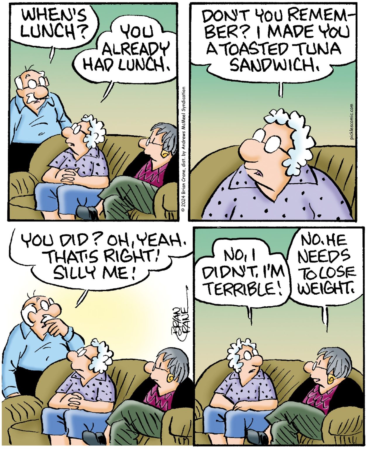20 Pickles Comics that Describe the Grandparenthood Humor | Comics To Read