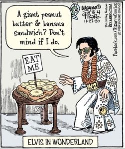 20 New Comics By Dan Piraro! They're Hilarious And Full of Unexpected ...