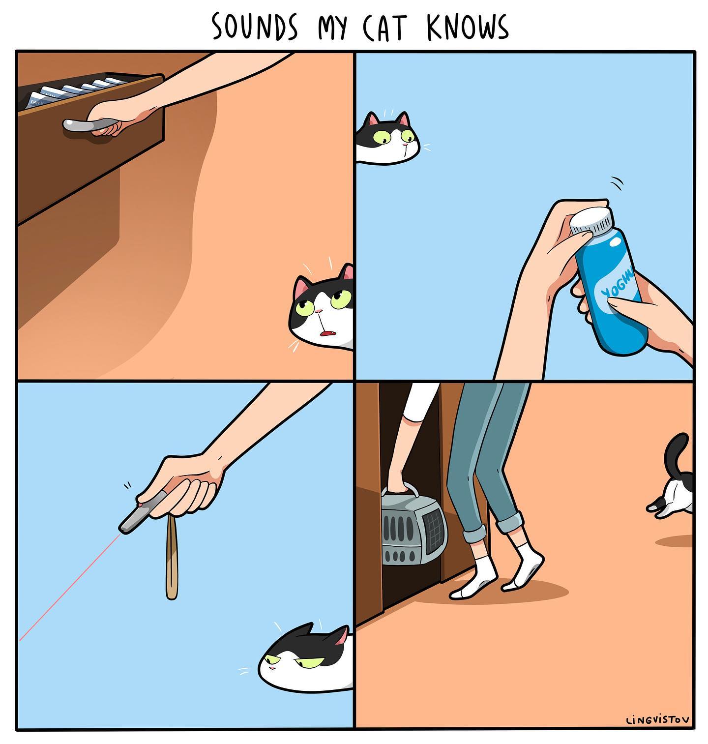 20 Lingvistov Comics Portrays The Huomors Part Of Being The Cat Owner ...