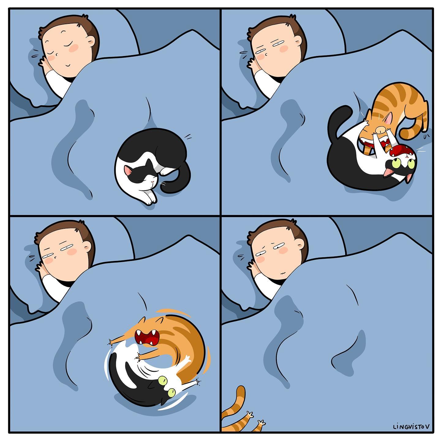 20 Lingvistov Comics Portrays The Huomors Part Of Being The Cat Owner ...