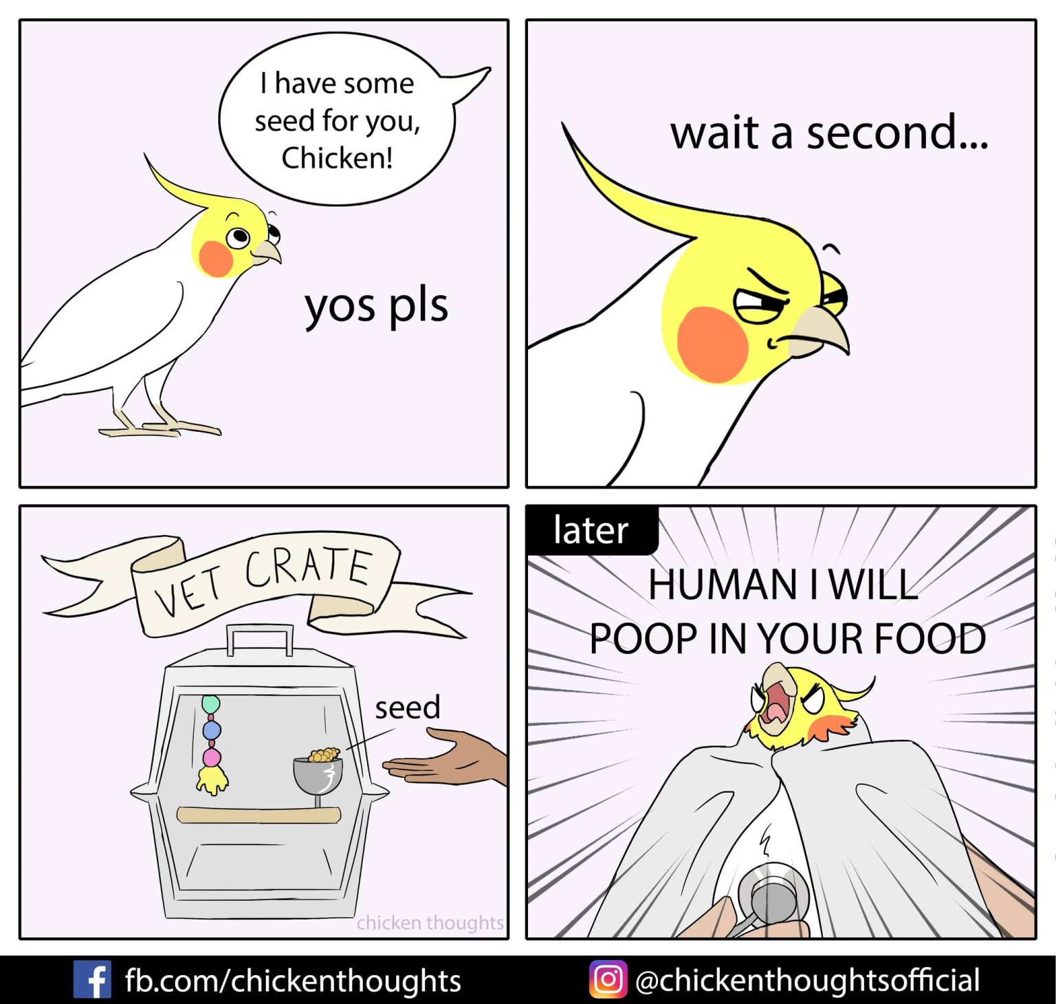 20 Chicken Thoughts Comics That Will Leave You Laughing Till the End ...