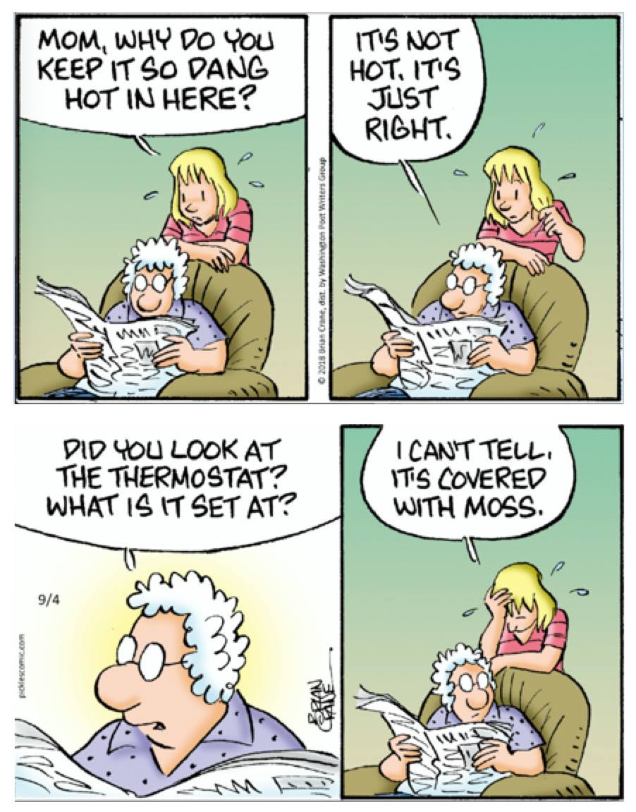 20 Favorite Pickles Comics Featuring Earl and Opal | Comics To Read