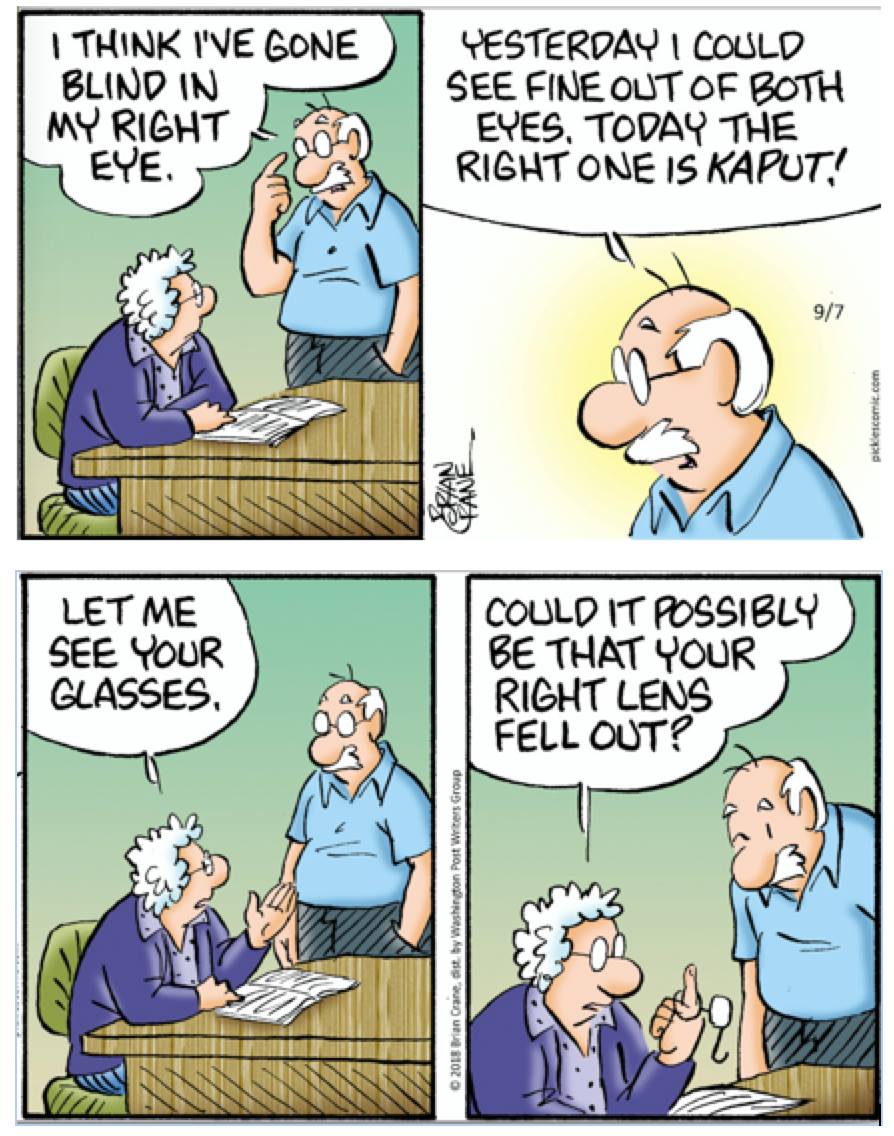 20 Favorite Pickles Comics Featuring Earl and Opal | Comics To Read