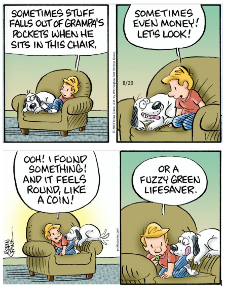 20 Favorite Pickles Comics Featuring Earl and Opal | Comics To Read