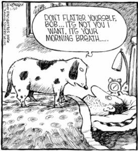 20 Hilarious and Witty Speed Bump Comics to Brighten Your Day and Make ...