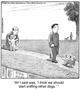 20 Brilliant Comics That Highlight the Art and Humor of Bliss | Comics ...