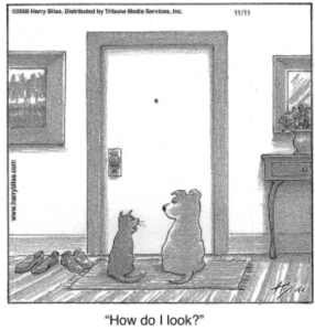 20 of the Most Relatable and Hilarious Comics by Artist Harry Bliss ...
