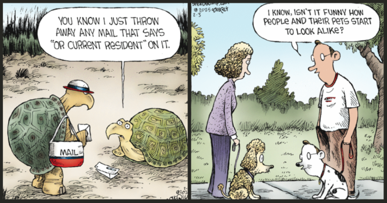 20 Hilarious and Witty Speed Bump Comics to Brighten Your Day and Make ...