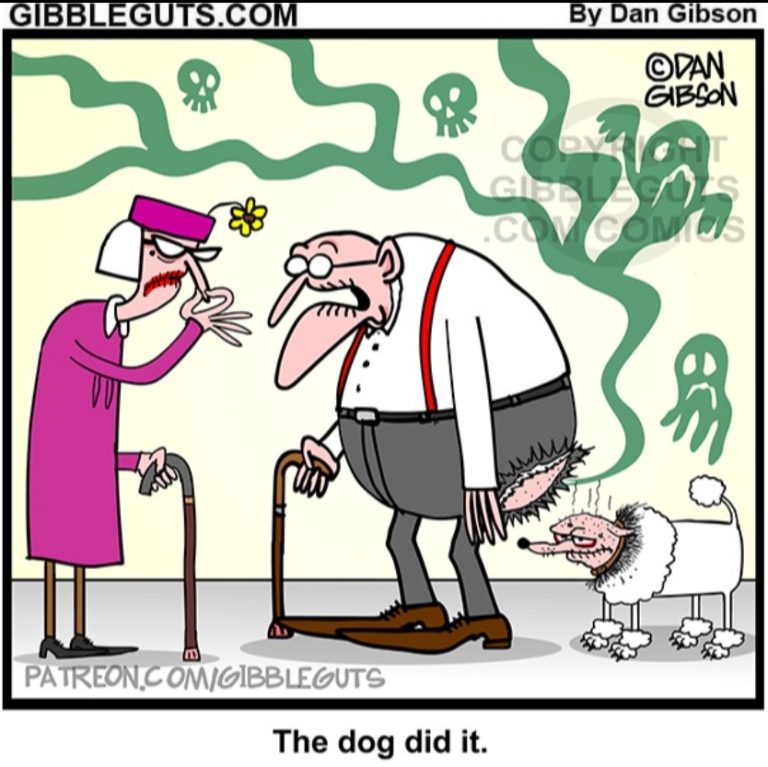 20 Witty Dan Gibson Cartoons That Capture the Humor of Aging | Comics ...