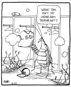 20 Humorous In the Bleachers Comics About Sports and Athletes | Comics ...